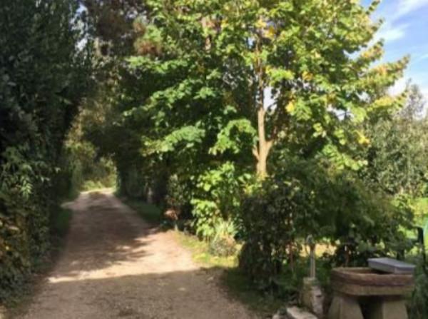 Terreno agricolo in vendita a Umbertide