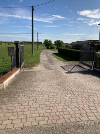 Terreno agricolo in vendita a Borgo Virgilio