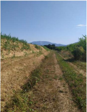 Terreno agricolo in vendita a Prato
