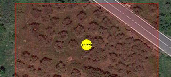 Terreno agricolo in vendita a Bellosguardo