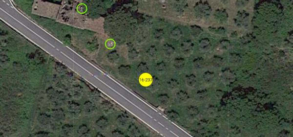 Terreno agricolo in vendita a Bellosguardo