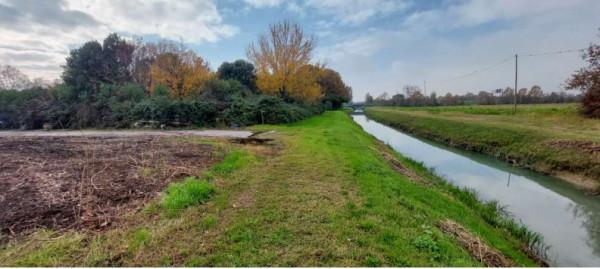 Terreno agricolo in vendita a Venezia