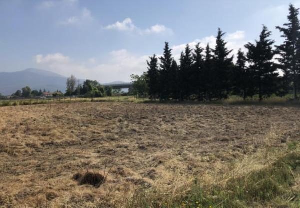Terreno agricolo in vendita a Cascina