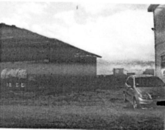 Terreno agricolo in vendita a Segni