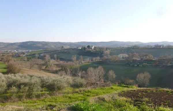 Terreno agricolo in vendita a Mosciano Sant'Angelo