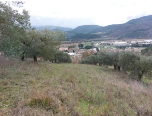 Terreno agricolo in vendita a Umbertide