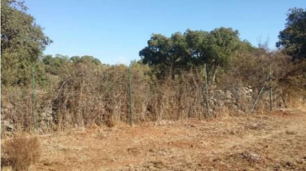Terreno agricolo in vendita a Abbasanta