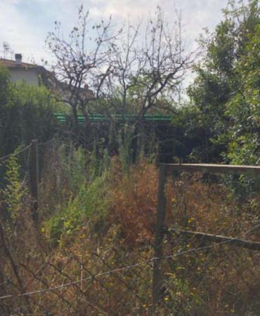 Terreno agricolo in vendita a Briona