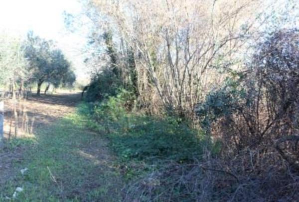 Terreno agricolo in vendita a San Prisco