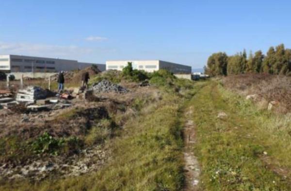 Terreno agricolo in vendita a Norbello