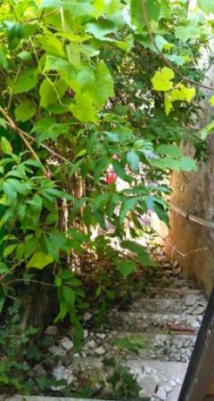 Appartamento in vendita a Montaldo Di Mondovi'