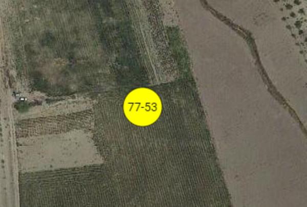 Terreno agricolo in vendita a Butera
