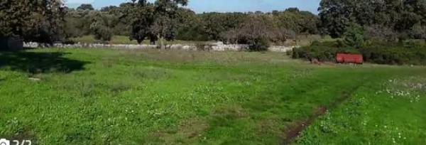 Terreno agricolo in vendita a Monopoli