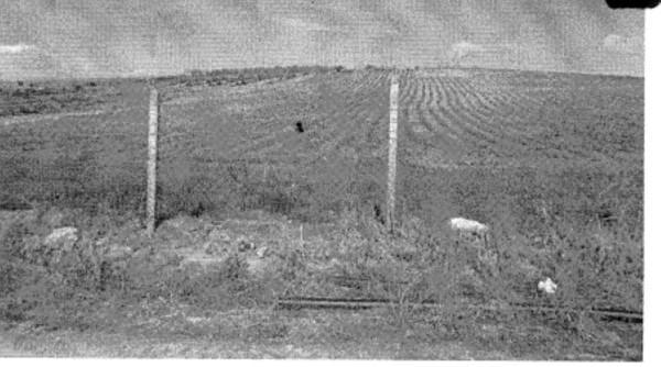 Terreno agricolo in vendita a Butera