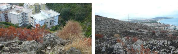 Terreno agricolo in vendita a Formia