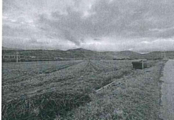 Terreno agricolo in vendita a Sonnino