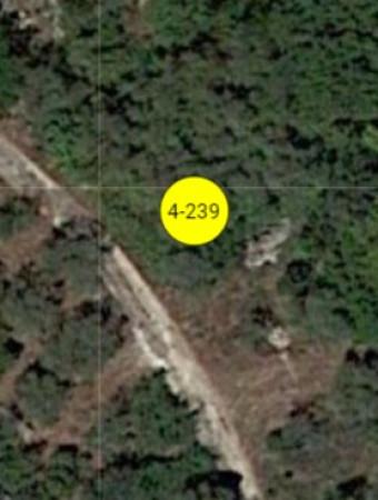 Appartamento in vendita a Sonnino