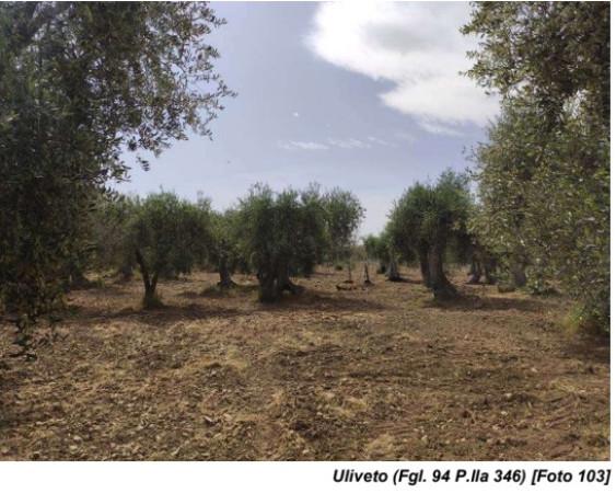 Terreno agricolo in vendita a San Giovanni Rotondo