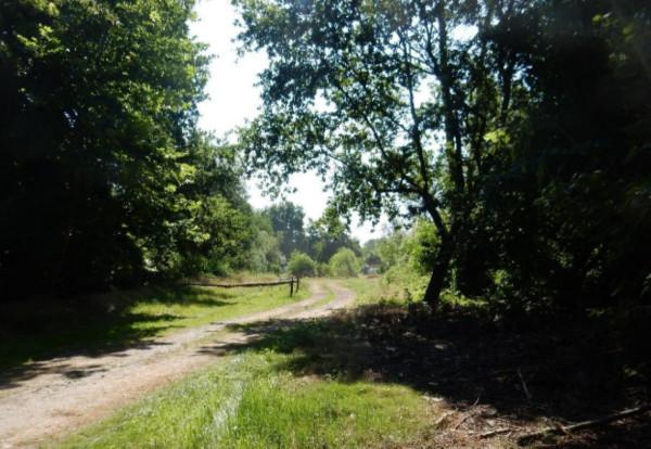 Terreno agricolo in vendita a Caronia