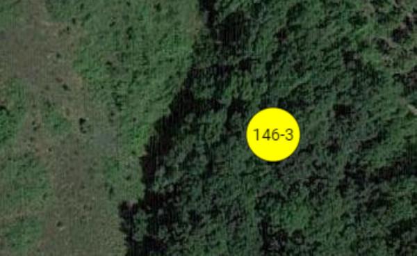 Terreno agricolo in vendita a Cinigiano