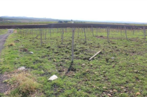 Terreno agricolo in vendita a Trapani