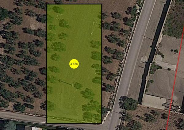 Appartamento in vendita a Bari