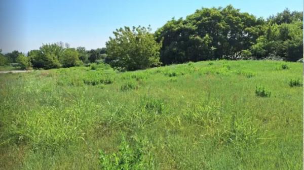 Terreno edificabile residenziale in vendita a Montemarciano