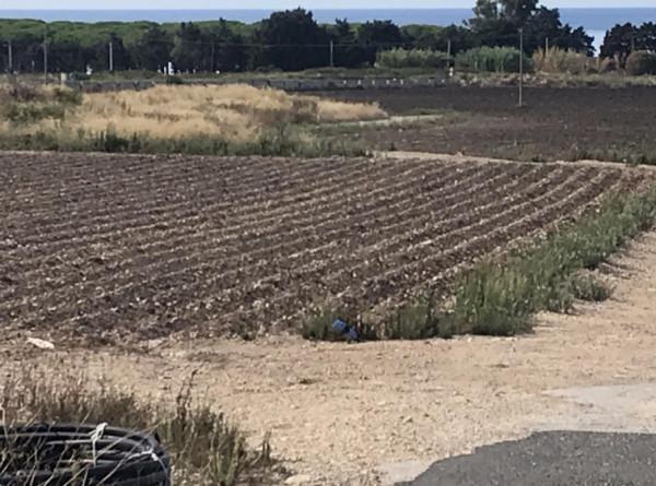 Terreno agricolo in vendita a Siracusa