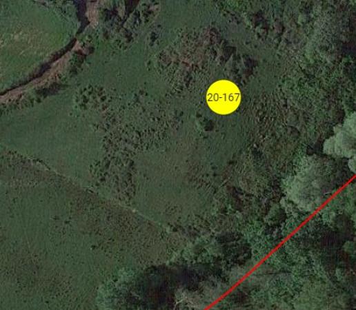 Terreno agricolo in vendita a Zungri