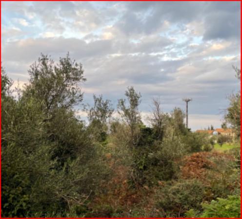 Terreno agricolo in vendita a Messina