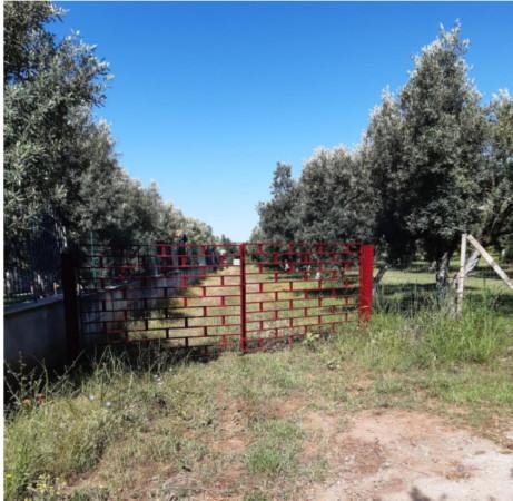 Terreno agricolo in vendita a Lamezia Terme