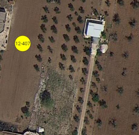 Terreno agricolo in vendita a Novoli