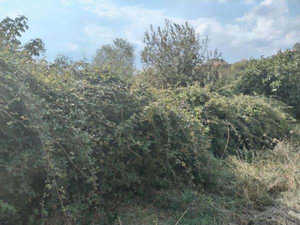 Terreno agricolo in vendita a Chiusano Di San Domenico