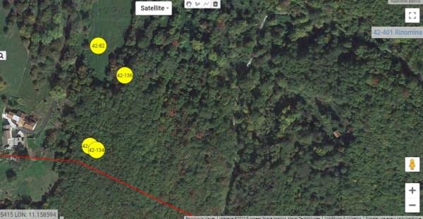 Terreno agricolo in vendita a Selva Di Progno