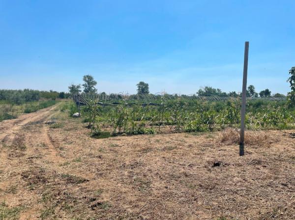 Terreno agricolo in vendita a Giugliano In Campania