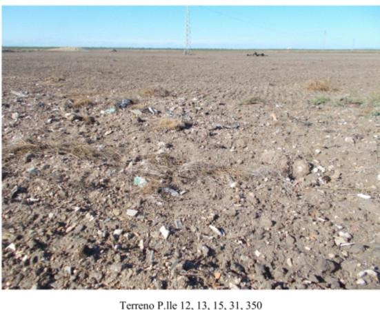 Terreno agricolo in vendita a Trinitapoli