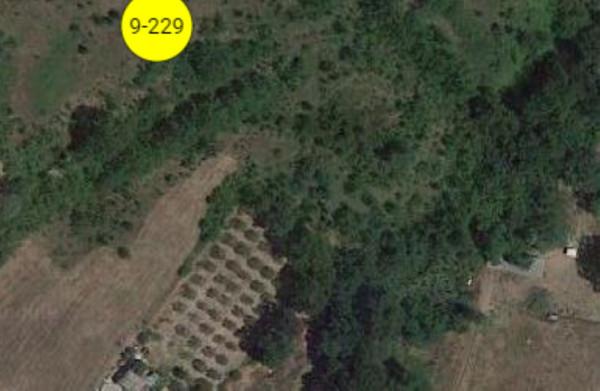 Terreno agricolo in vendita a San Vittore Del Lazio