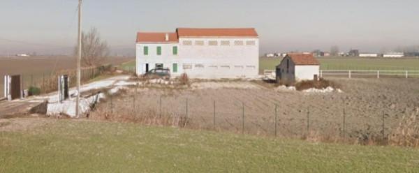 Appartamento in vendita a Cerea