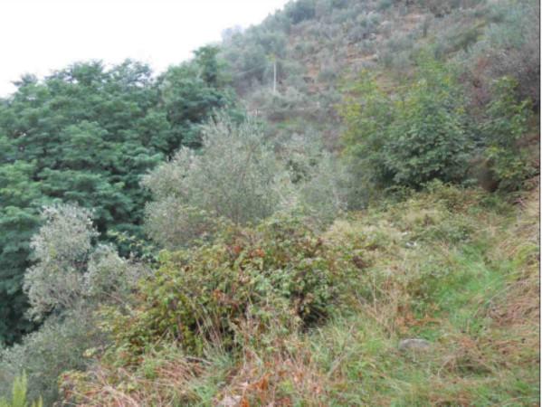 Terreno agricolo in vendita a Camaiore