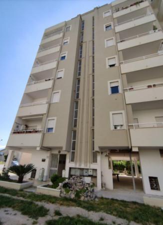 Appartamento in vendita a Pontecorvo