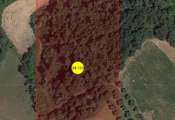 Terreno agricolo in vendita a Lattarico