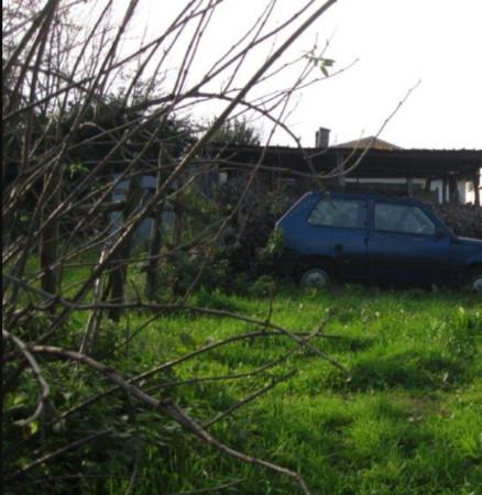 Terreno agricolo in vendita a Lariano