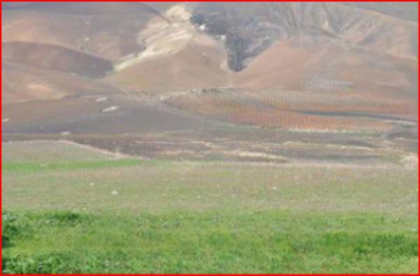 Terreno agricolo in vendita a Caltanissetta