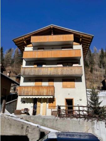 Appartamento in vendita a Santo Stefano Di Cadore
