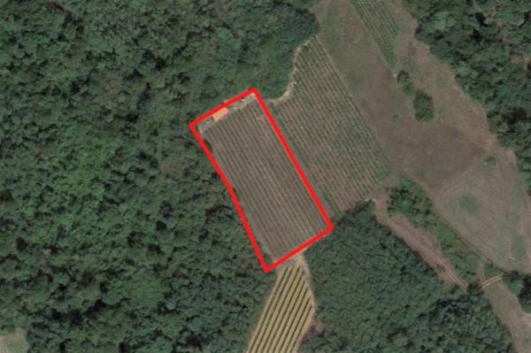 Terreno agricolo in vendita a Niella Tanaro