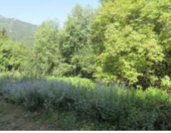 Terreno agricolo in vendita a Posina