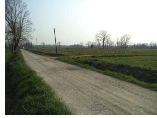 Terreno agricolo in vendita a Credera Rubbiano