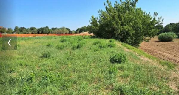 Terreno edificabile commerciale in vendita a Montemarciano