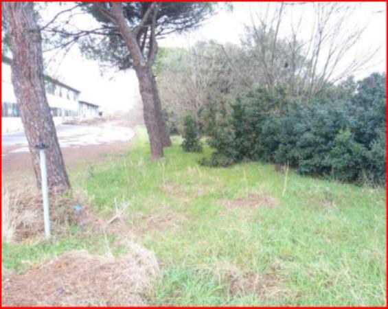 Terreno edificabile commerciale in vendita a Gatteo