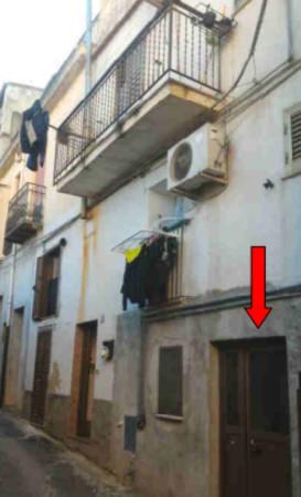Cantina in vendita a Caronia